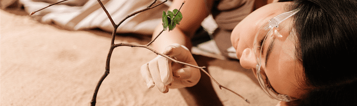 A “Construção de uma Civilização Ecológica” na China e as suas ... A “Construção de uma Civilização Ecológica” na China e as suas ...